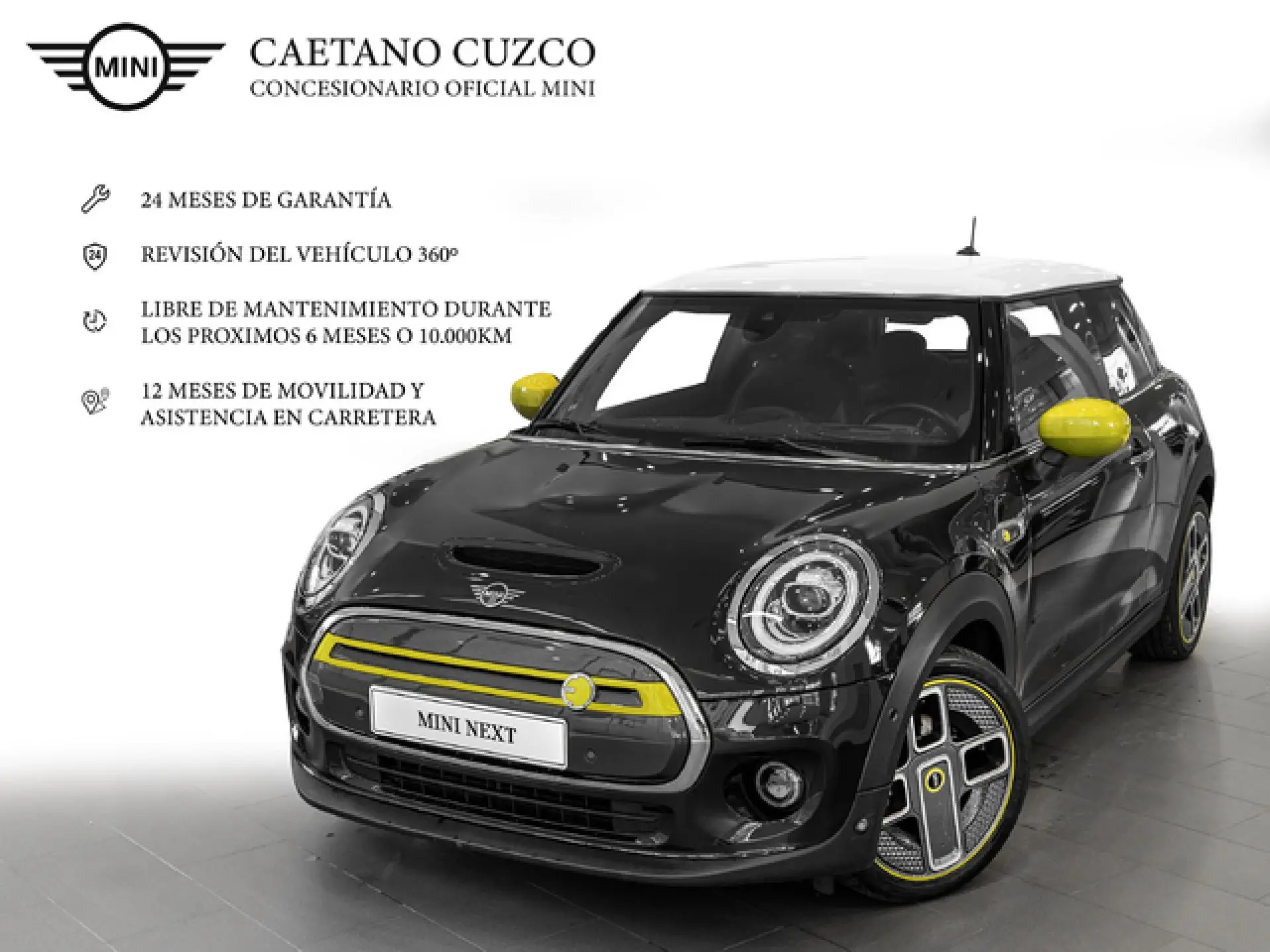 Mini Mini COOPER SE - Caetano Retail